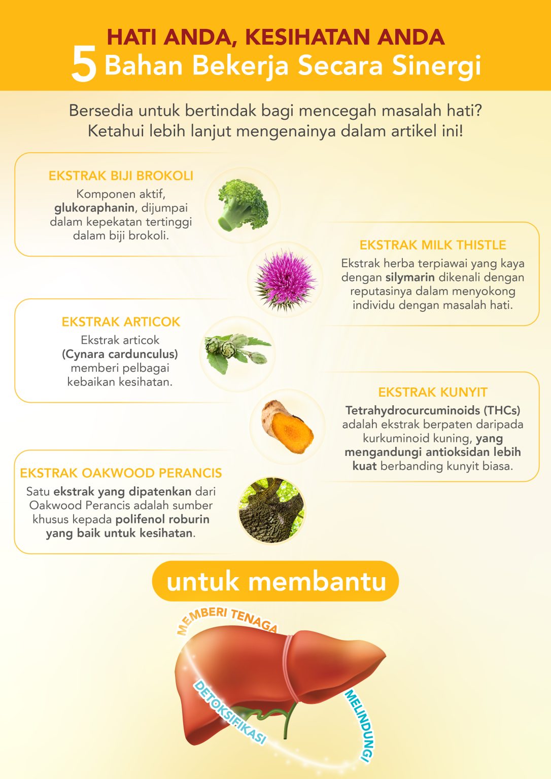 Hati Anda, Kesihatan Anda. Mari kenali apa yang baik untuk hati anda ...